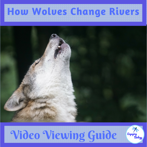 How Wolves Change Rivers - Amped Up Learning