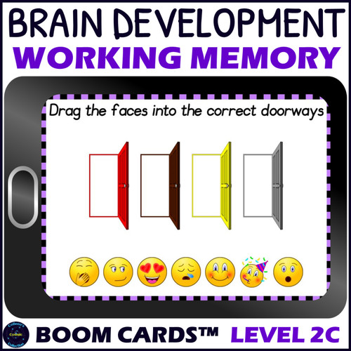 Working Memory Activity level 2c – Digital Boom™ Cards