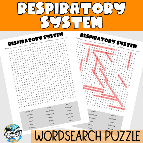 Respiratory System Word Search