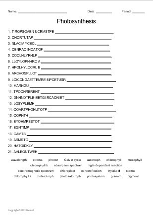 Introduction to Biology Vocabulary Word Scrambles Bundle - Amped Up ...