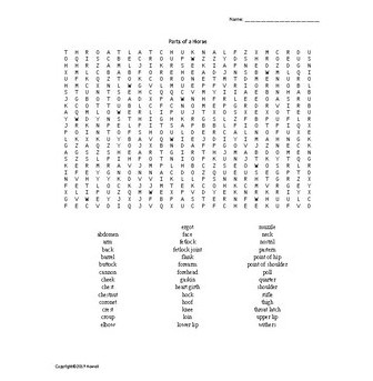 Word Search Bundle for an Agriculture Livestock Course - Amped Up Learning