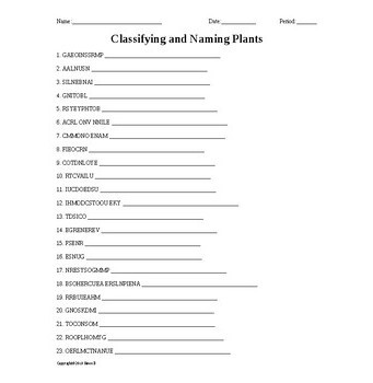 Plant Science Word Scramble Bundle - Amped Up Learning