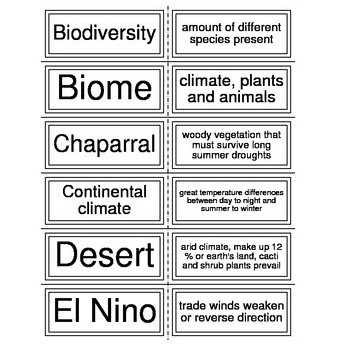 Earth Science Vocabulary Flash Cards Bundle - Amped Up Learning