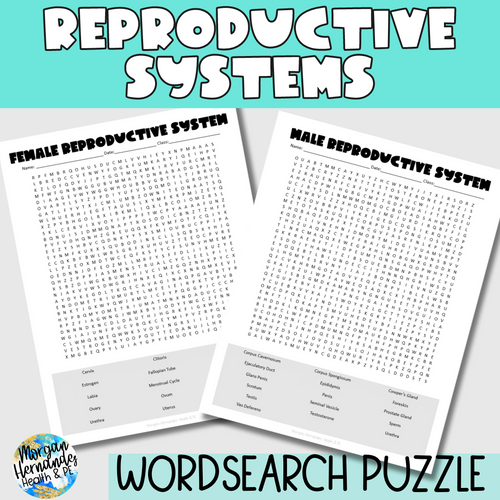 Male & Female Reproductive System Reproductive Word Search Puzzle