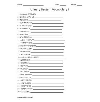 Urinary System I Word Scramble for a Medical Terminology Course - Amped ...