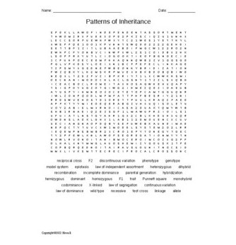 Patterns of Inheritance Word Search for an Introduction to Biology ...