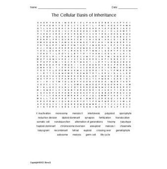 Cellular Basis of Inheritance Word Search for an Intro. to Biology ...