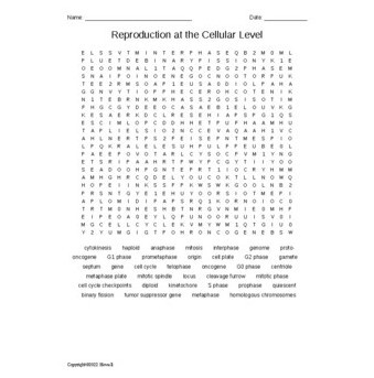 Reproduction at the Cellular Level Word Search for an Intro. to Biology ...