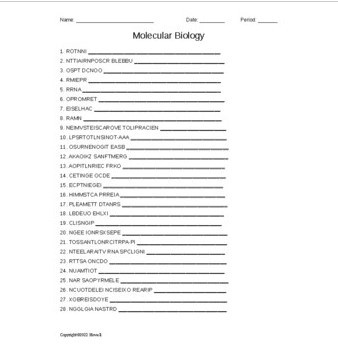 Molecular Biology Word Scramble for an Introduction to Biology Course ...