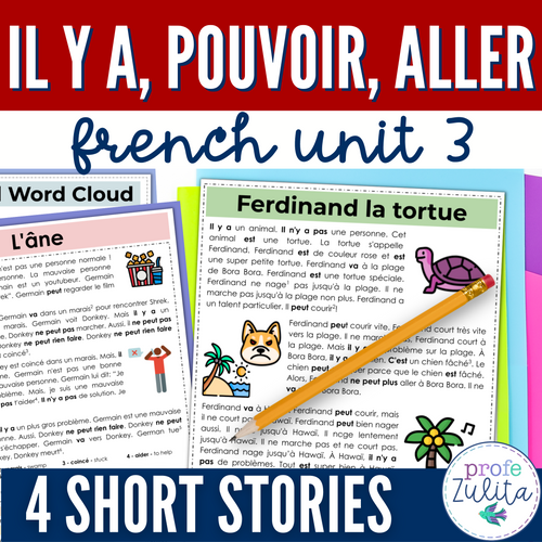 French Story Unit 3 - il y a, pouvoir, aller Comprehensible Story ...