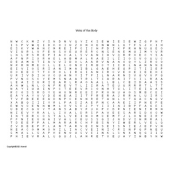 The Veins of the Body Vocabulary Word Search for Anatomy Students ...
