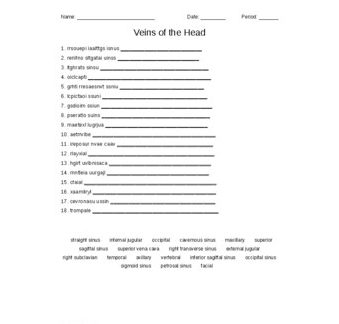 Veins of the Head Vocabulary Word Scramble for Anatomy or Physiology ...