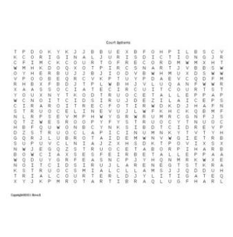 "Court Systems" Vocabulary Word Search for a Business Law Course ...