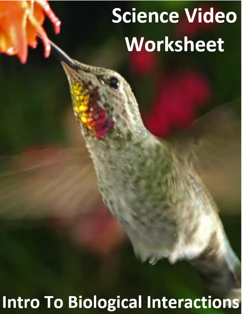 Intro to Biological Interactions. Video sheet, Google Forms, Easel ...