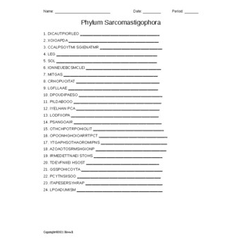 Phylum Sarcomastigophora Word Scramble for Invertebrate Biology - Amped ...