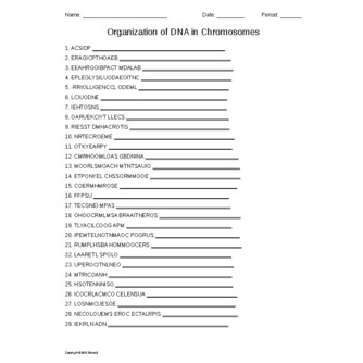 Chromosomal DNA Organization Word Scramble for Genetics - Amped Up Learning