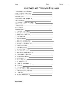 Inheritance and Phenotypic Expression Word Scramble for Genetics ...