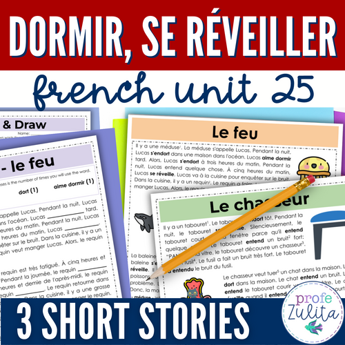 French Unit 25 - dormir, se réveiller French Reading Comprehension ...