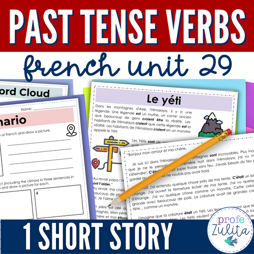 French Unit 29 - passé composé & past tense in French Reading ...