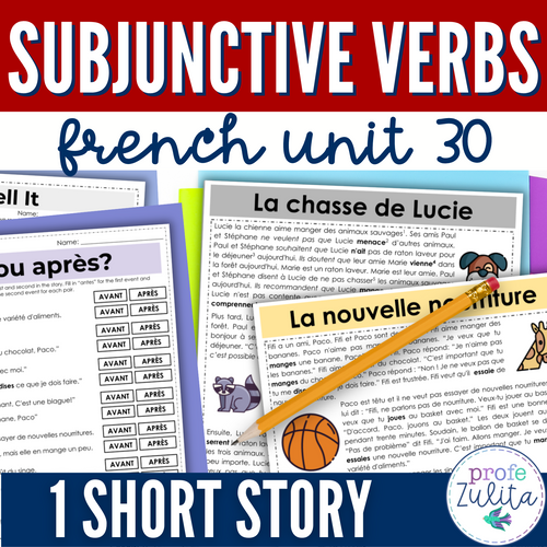 French Unit 30 - le subjonctif subjunctive tense in French Reading ...
