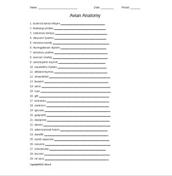 Avian Anatomy Word Scramble - Amped Up Learning