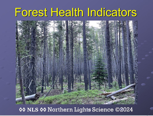 Forest Health Indicators PowerPoint - Amped Up Learning