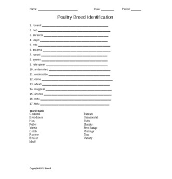 Poultry Breed Identification Word Scramble for a Livestock Ag. Course ...