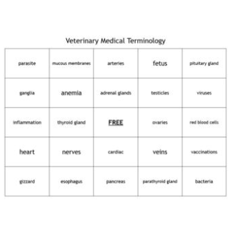 "Veterinary Medical Terminology" Bingo set for a Veterinary Science ...