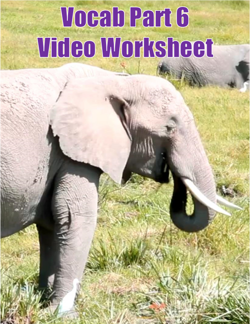 "Vocabulary Builder Part 6" Video sheet, Google Forms, Canvas & more V2