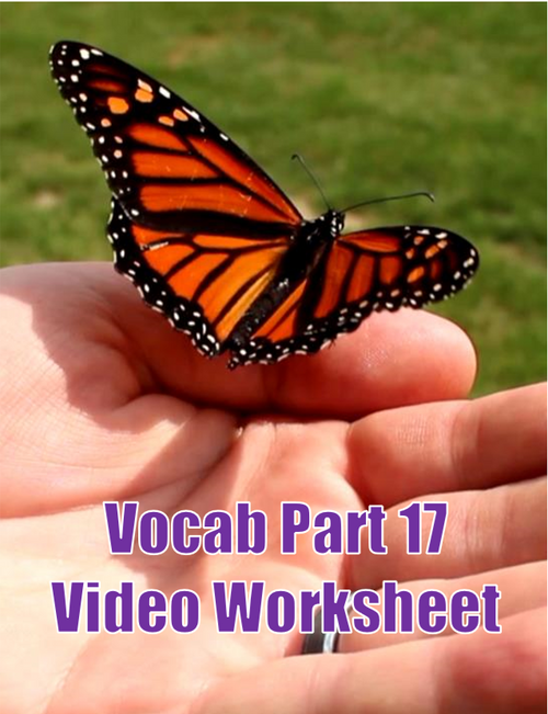 Vocabulary Builder Part 17 Video sheet, Google Forms, Canvas & more V2
