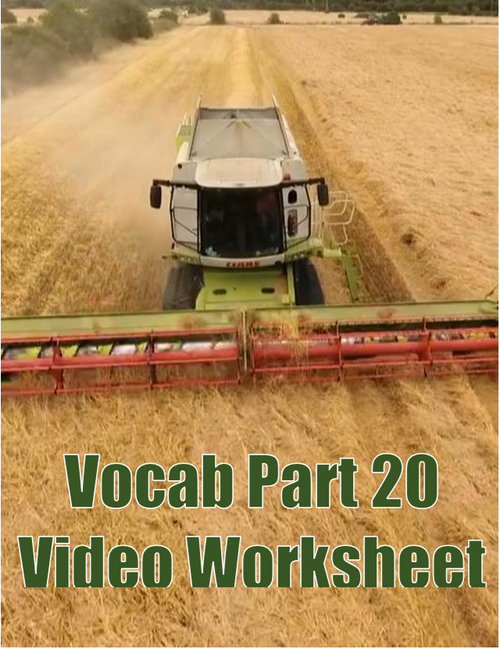 Vocabulary Builder Part 20 Video sheet, Google Forms, Canvas & more V2