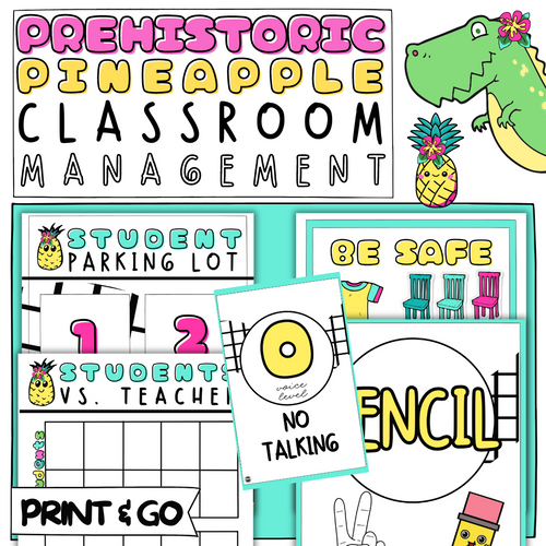 Dinosaur | Pineapple | Tropical | Classroom Management Plan | Back to ...