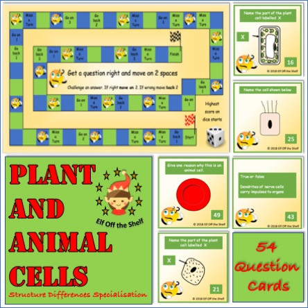Plant and Animal Cells - Structure, Difference and Specialisation Board ...