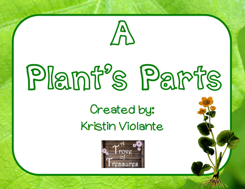 A Plant's Parts Booklet **With Activity Differentiation** - Amped Up ...