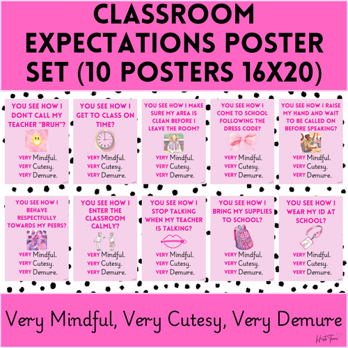 Very Mindful, Very Cutesy, Very Demure Classroom Expectations Poster Set
