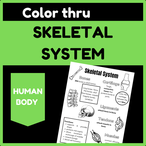 Color thru Skeletal System - Amped Up Learning