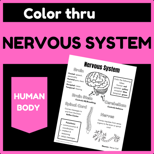 Color thru Nervous System - Amped Up Learning