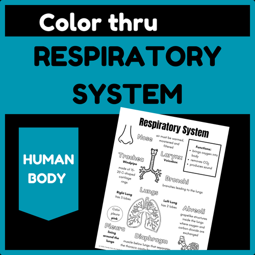 Color thru Respiratory System - Amped Up Learning