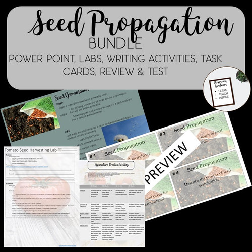 Seed Propagation Bundle - Amped Up Learning