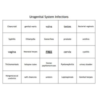 "Urogenital System Infections" Bingo set for a Microbiology Course ...