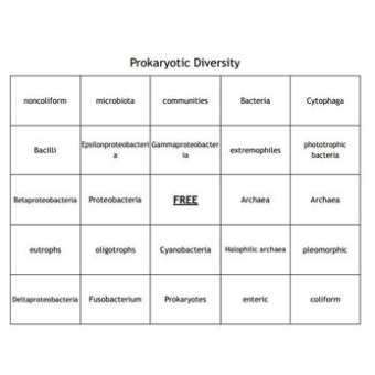 "Prokaryotic Diversity" Bingo set for a Microbiology Course - Amped Up ...