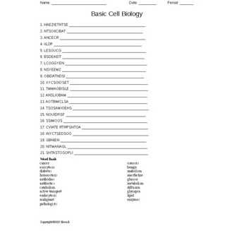 Veterinary Science Word Scramble Bundle for Distance Learning - Amped ...