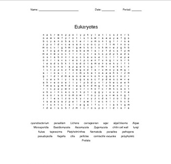 Eukaryotes Word Search for a Microbiology Course - Amped Up Learning