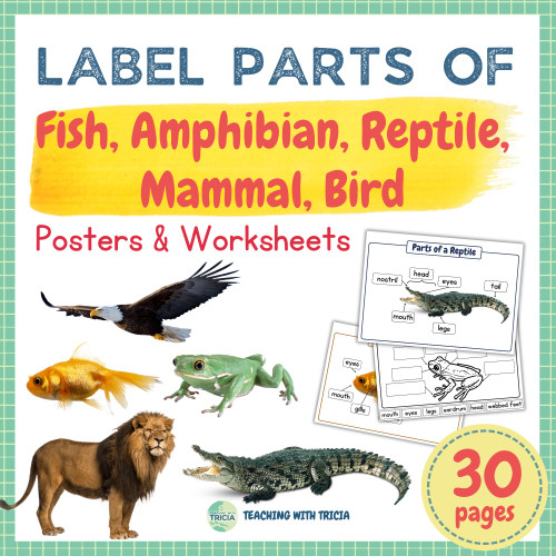 Label the Parts of 5 Groups of Animals - Fish, Reptile, Amphibian ...