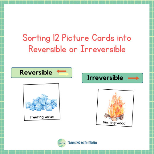 Science - Reversible or Irreversible: Handout, Activities & Worksheet ...