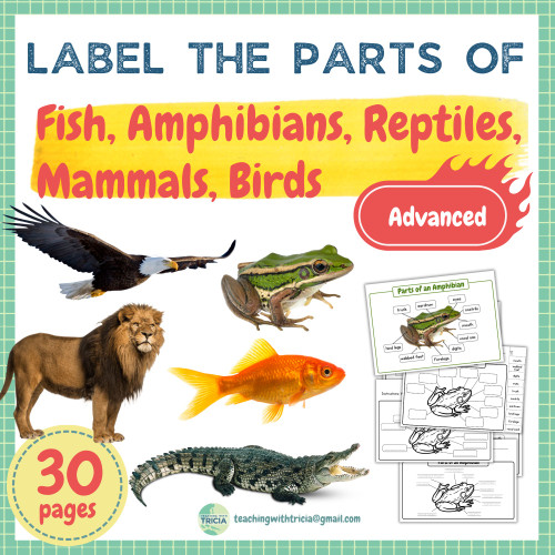 Label the Parts of Animals - Advanced: Fish, Reptile, Amphibian, Mammal ...
