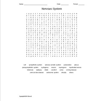 Nervous System Word Search for Vet. Science Students - Amped Up Learning