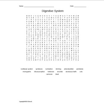 Digestive System Word Search for Vet. Science Students - Amped Up Learning