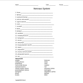 Nervous System Word Scramble for Vet. Science Students - Amped Up Learning