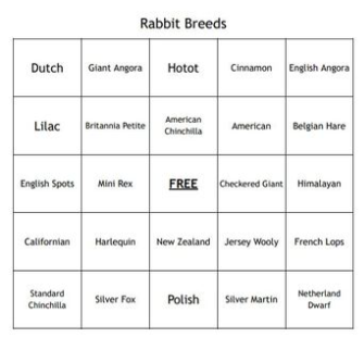 "Rabbit Breeds" Bingo set for a Small Animal Science Course - Amped Up ...